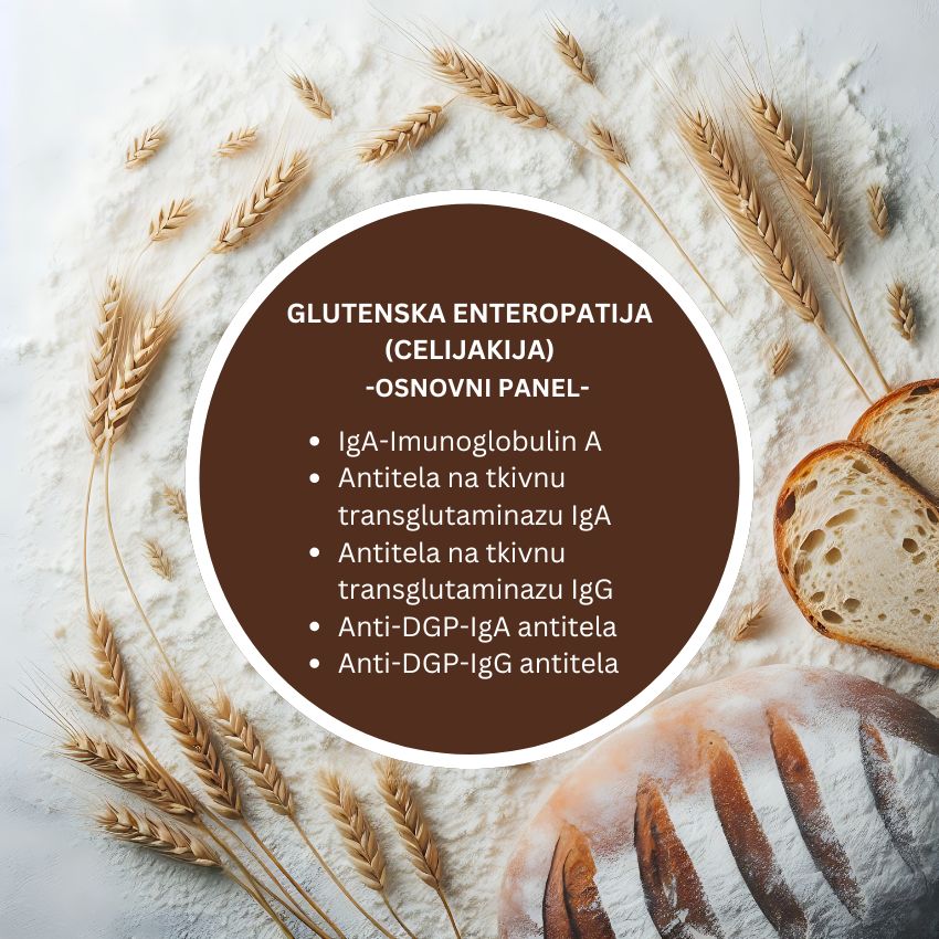Analiza Glutenska enteropatija (Celijakija)- Osnovni panel | Poruči ...