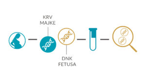 VERACITY test - Najprecizniji i najdetaljniji NIPT test